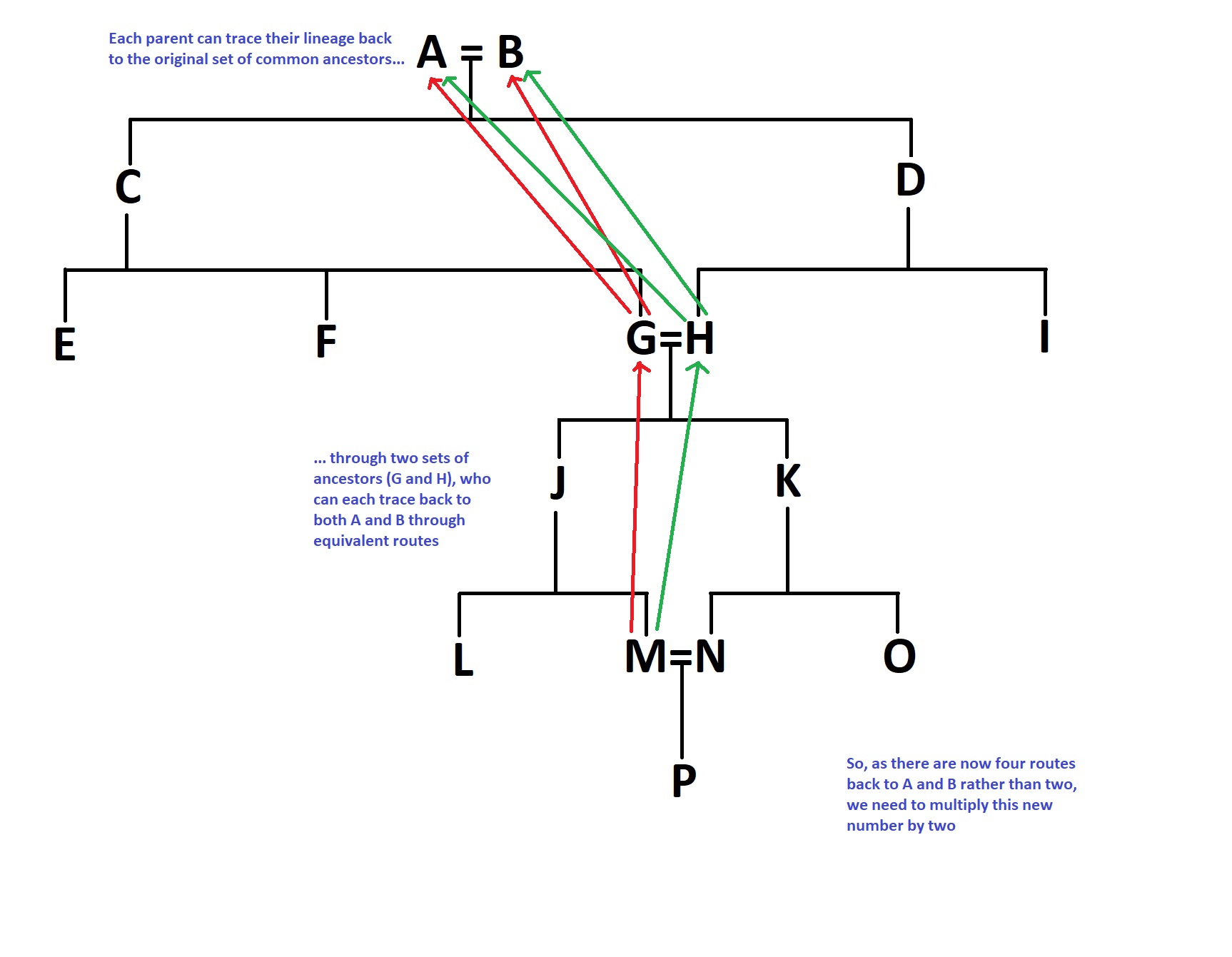 Inbreeding coefficient and how to calculate it – Biopedia